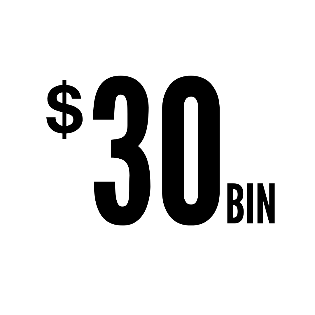 $30 - $39.99 BIN – Bella Chic